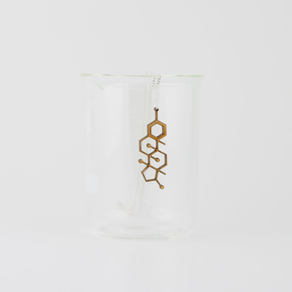 Science Jewelry - Testosterone Molecule Necklace – Sorcery Science